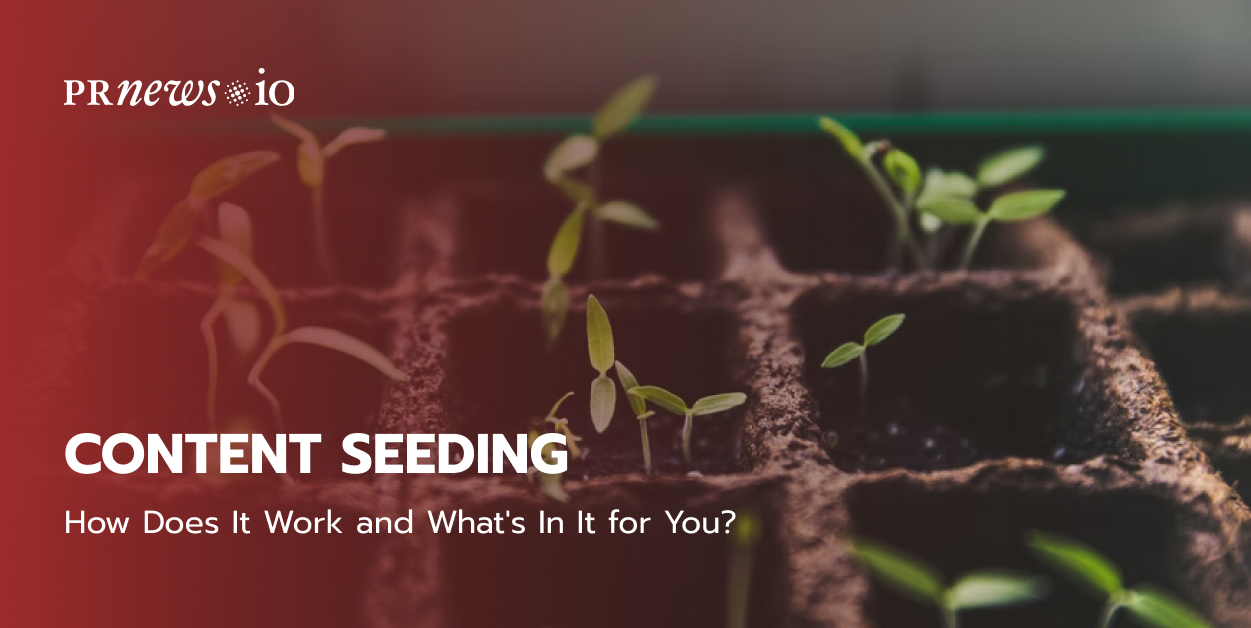 Content Seeding 101: How Does It Work
