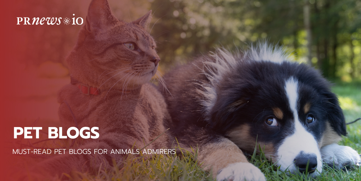 Must-Read Pet Blogs for Animals Admirers