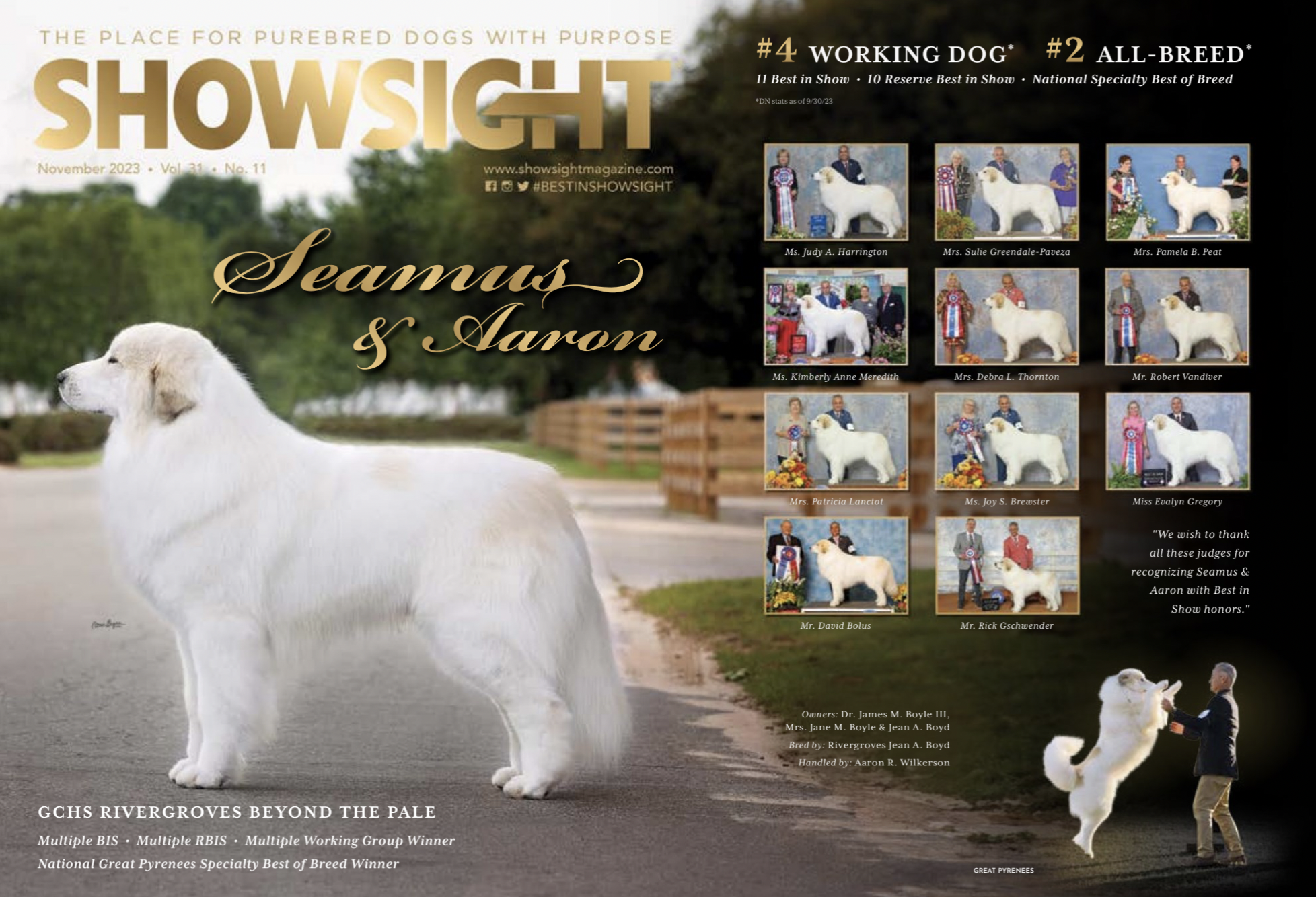 30 Best Dog Magazines and Blogs Every Pet Lover Should Follow