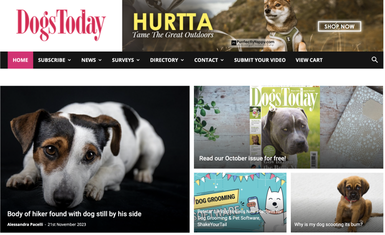 30 Best Dog Magazines and Blogs Every Pet Lover Should Follow