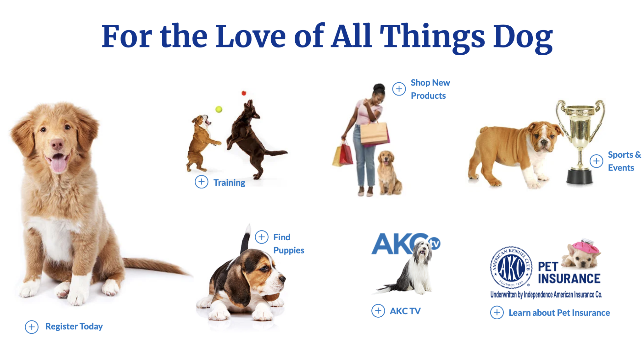 Top 10 Dog Magazines for Passionate Dog Parents