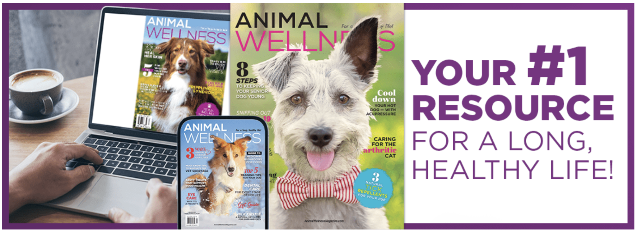 30 Best Dog Magazines and Blogs Every Pet Lover Should Follow