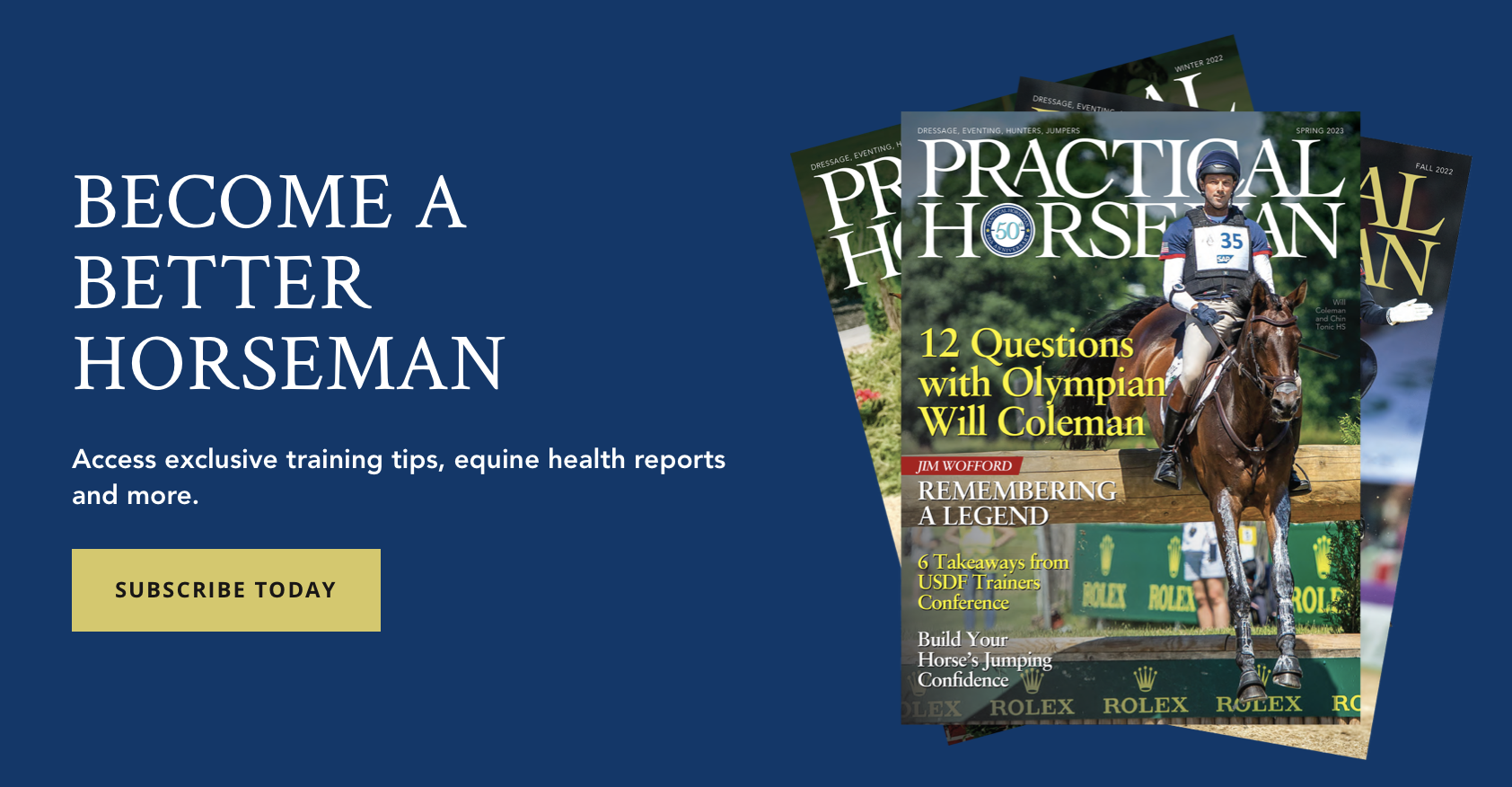Top horse magazines: essential resources for equestrian enthusiasts